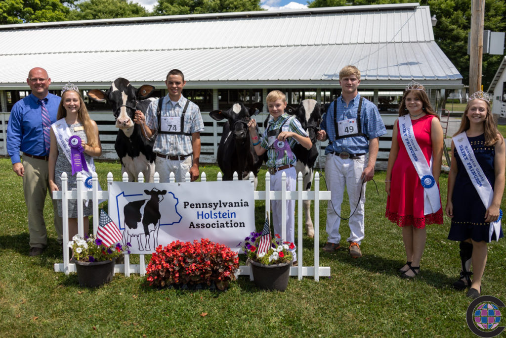Show Gallery - PA Holsteins