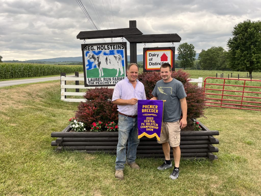 Show Gallery - PA Holsteins