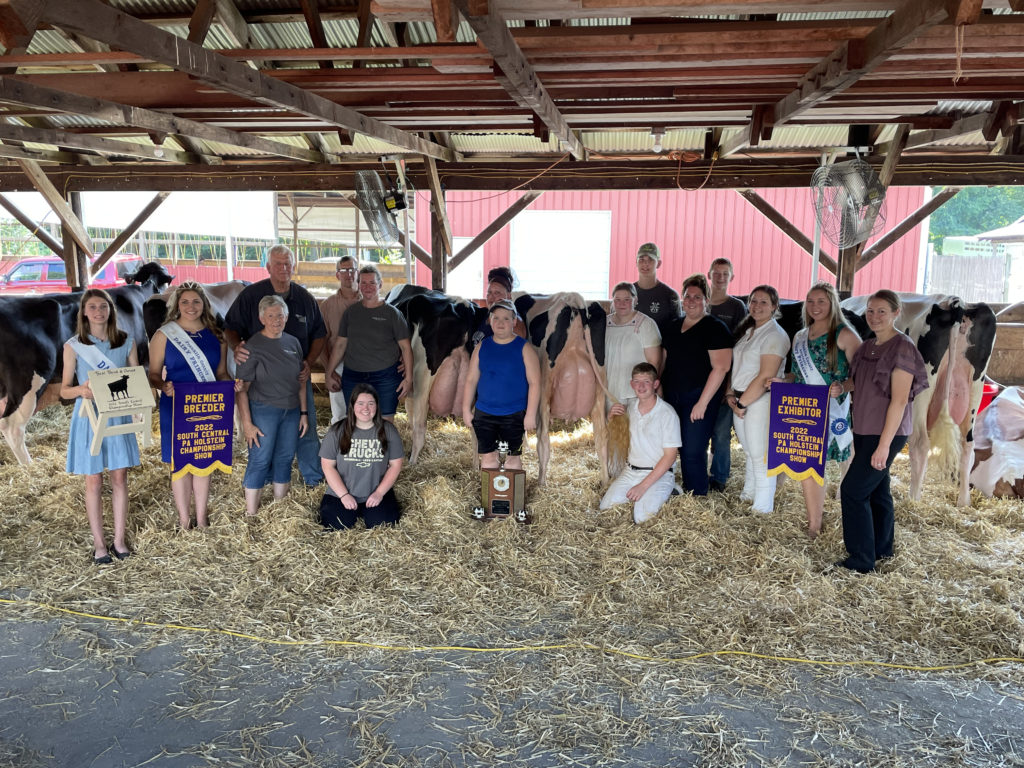 Show Gallery - PA Holsteins